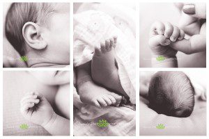 Adorable Dimpled Baby Boy Newborn Session {Cedar Rapids Newborn ...