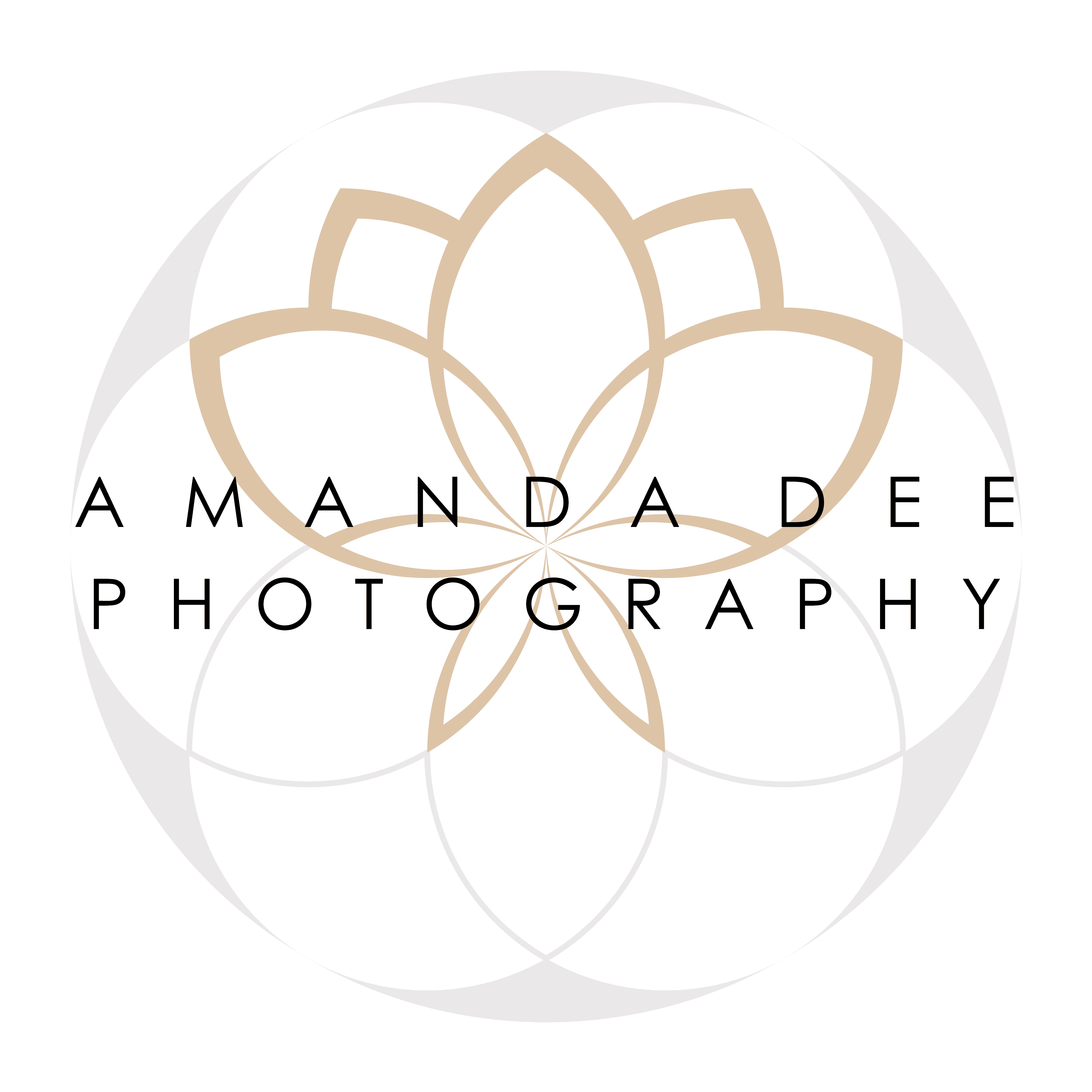 Home » Amanda Dee Photography